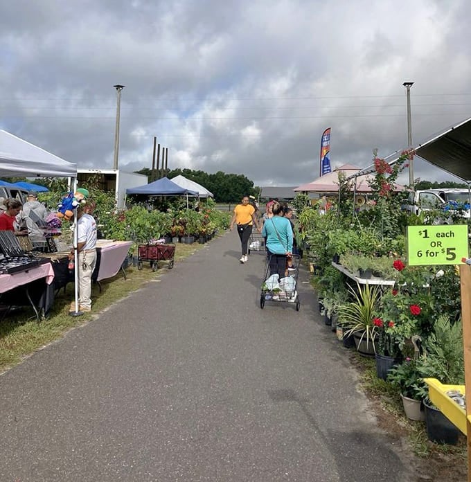 Plants and flowers line the walkway while storm clouds gather, adding drama to your shopping expedition.