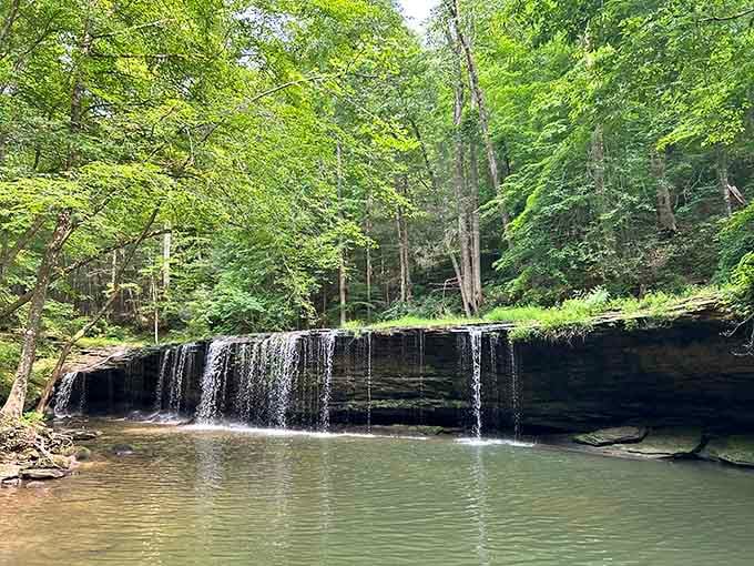 Ferns and forest embrace this gentle cascade, creating the kind of serenity money simply cannot buy.