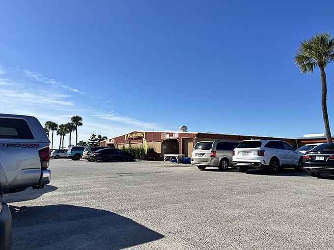 Palm trees frame the sprawling parking lot where smart shoppers arrive early to beat the crowds.