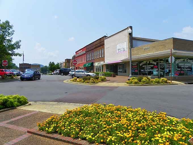 Bright yellow flowers burst from planters like sunshine decided to take root and stay awhile permanently.