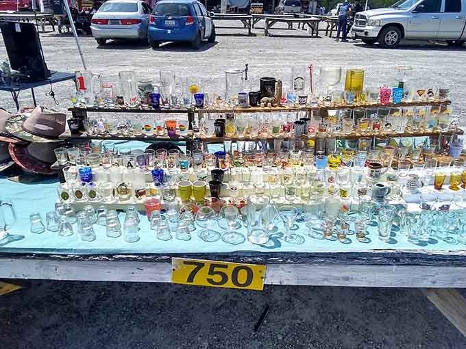 More glassware than your grandmother's china cabinet, all sparkling in the sunlight like a rainbow of vintage memories.