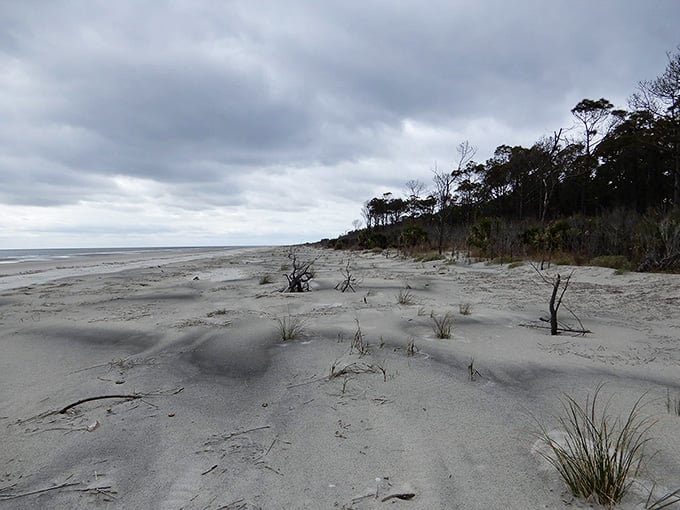 Driftwood sculptures dot the empty beach under moody skies, creating a scene that's beautifully haunting and perfectly peaceful.