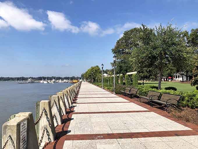 Benches facing the marina offer front-row seats to nature's daily show, completely free of charge.