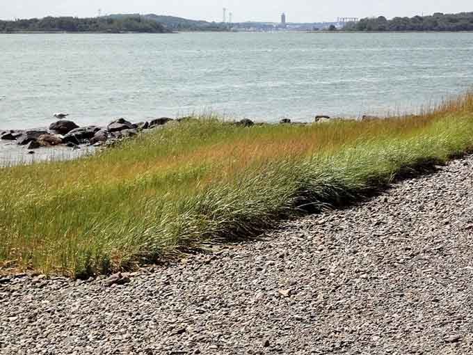 Golden marsh grass sways beside rocky shores, painting autumn colors that would make any landscape artist weep with joy.