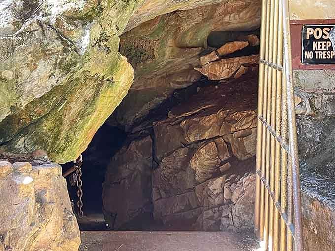 That humble entrance belies the geological wonderland waiting below, like finding a speakeasy behind an unassuming door.