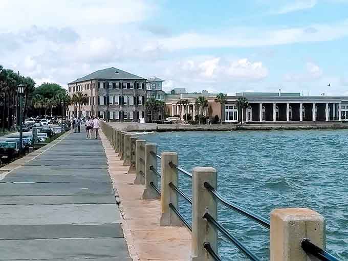 Charleston's waterfront promenade offers million-dollar views on a $1,500 budget. Those palm trees and harbor breezes come standard with every affordable neighborhood nearby.