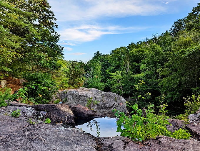 Ancient rocks cradle rainwater pools that reflect the sky, creating miniature worlds within the larger wilderness around you.