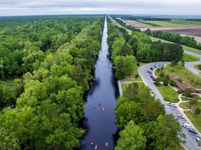 This aerial waterway cuts through forests like nature's own highway to peaceful escape.
