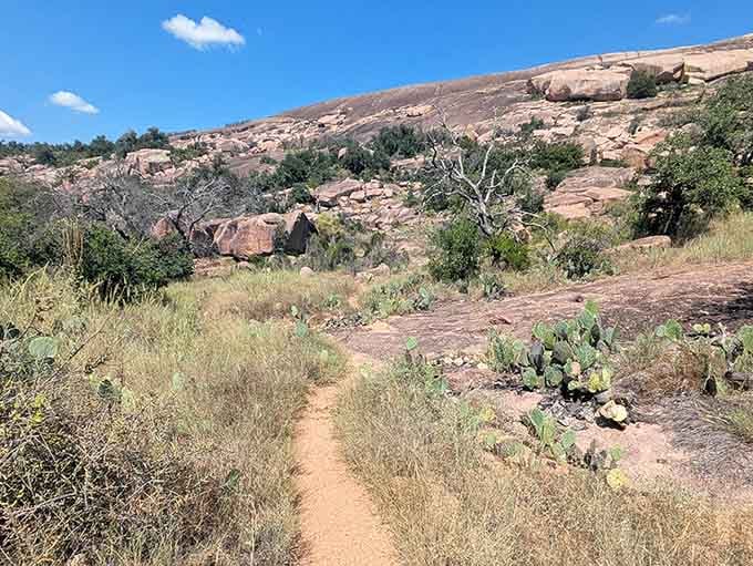 Prickly pear cacti dot the pink granite landscape where rugged beauty meets the endless Texas sky.