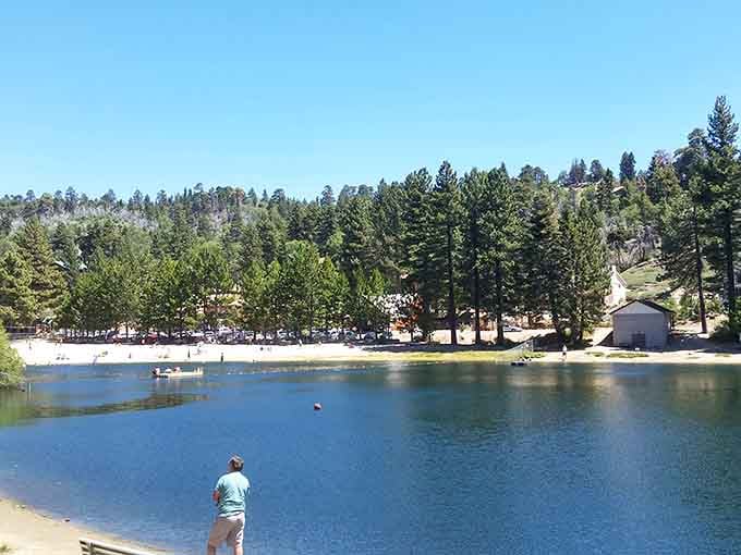 Someone's enjoying lakeside tranquility where the water sparkles and pine-covered hills embrace this hidden mountain gem perfectly.