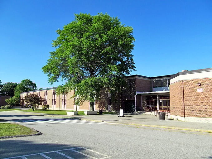 A magnificent tree provides natural shade over brick buildings where community gathering spaces welcome everyone who passes.