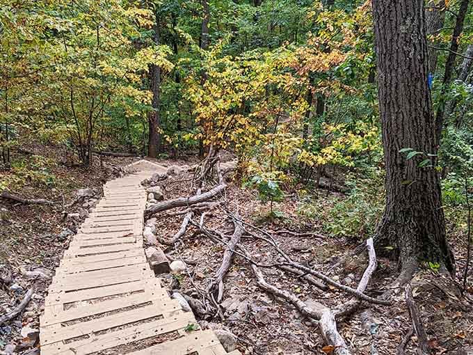 This wooden walkway winding through the woods proves that getting lost is sometimes the best way to find yourself.