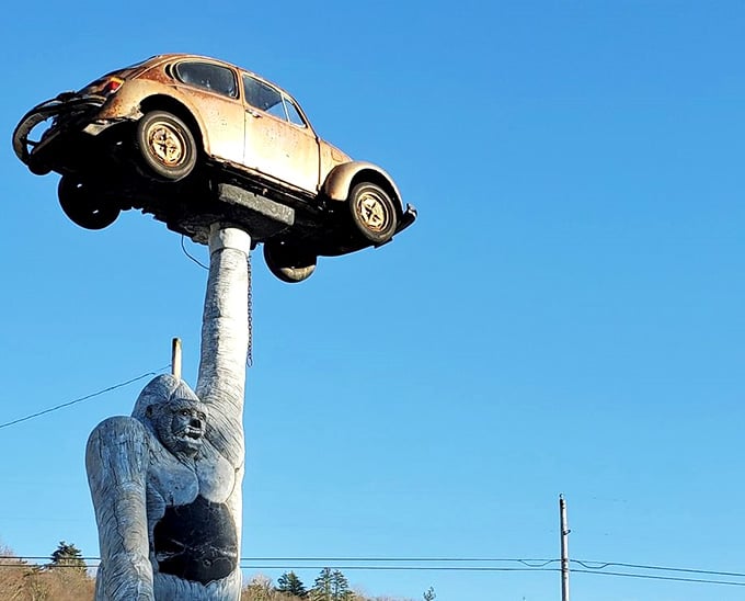 This gentle giant gorilla has been charming highway travelers for years with her impressive car-lifting circus act.