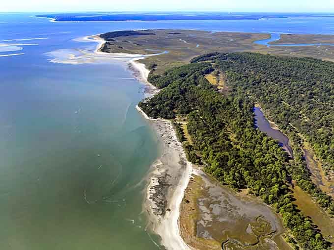 This aerial view captures the untouched beauty where maritime forest and coastal waters blend into one spectacular natural masterpiece.