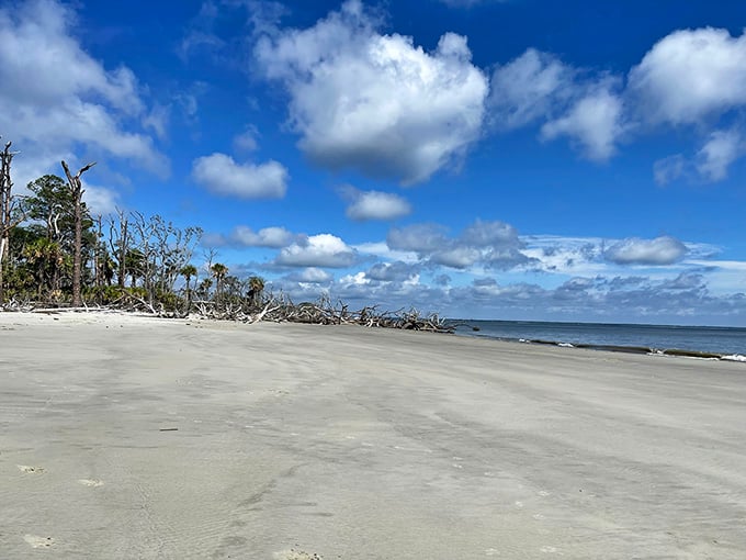 Endless white sand stretches beneath brilliant blue skies, proving that sometimes the best beaches are the hardest to reach.