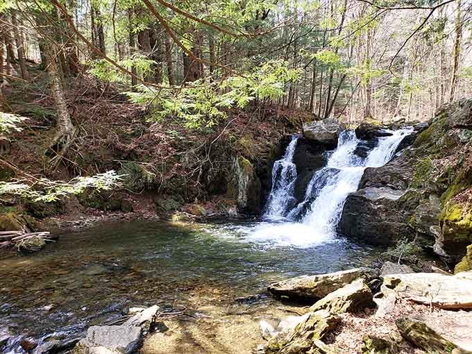 Peck's Falls tumbles over rocks like it's been practicing this routine for a few thousand years.