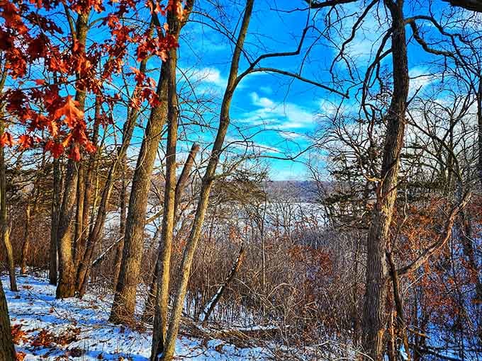 Winter transforms the bluffs into a scene worthy of a Currier and Ives print, minus the horse-drawn sleighs.