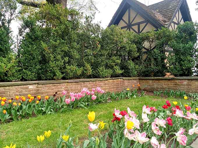 Spring tulips proving that sometimes the best things in life come in the most vibrant, unapologetic colors imaginable.