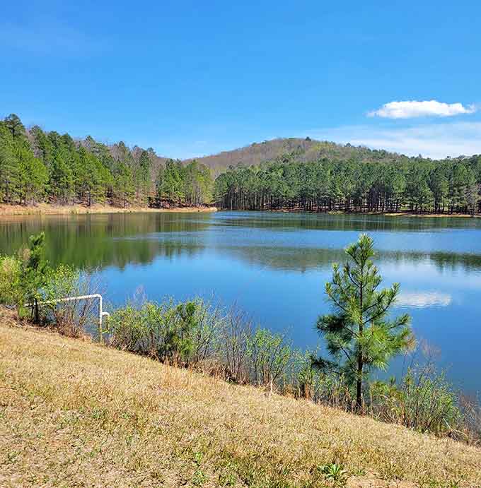 When the water's this calm, you remember why people used to just sit and think before smartphones.