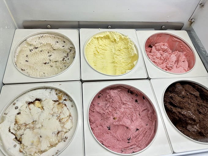 Six flavors of house-made ice cream waiting to make your afternoon infinitely better than it was.
