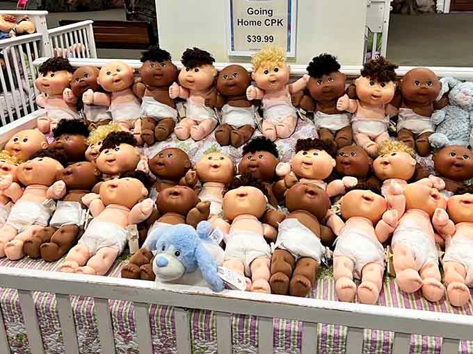 Fresh arrivals in their nursery cribs, ready to be adopted. They're surprisingly well-behaved patients, never complaining about hospital food.