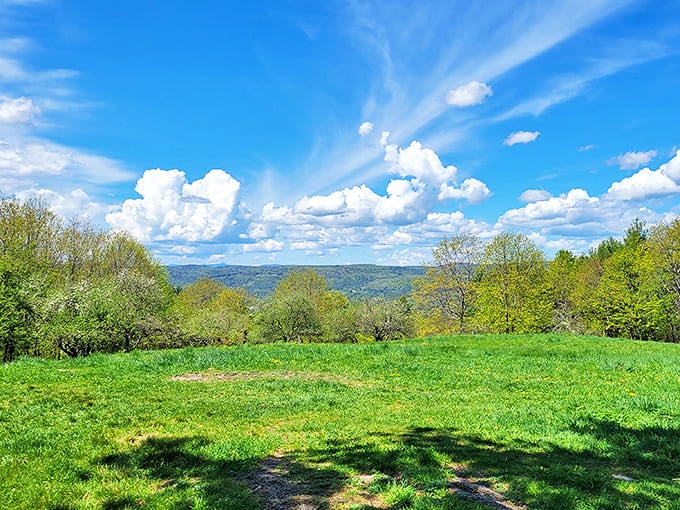 Balch Hill rewards hikers with panoramic valley views that change with the seasons&mdash;nature's own ever-rotating art exhibition.