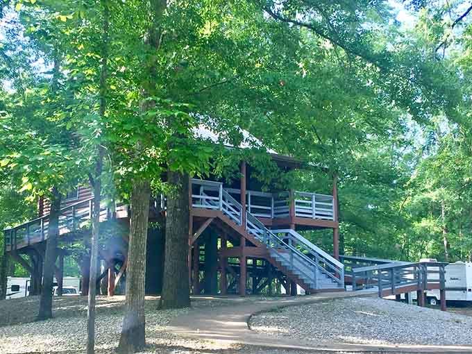 Elevated views await at this rustic pavilion nestled among the trees. The perfect spot for picnics with a side of scenery.