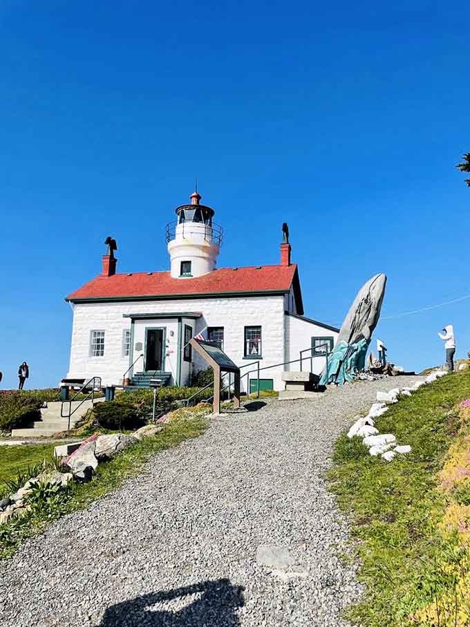 This is your path when the tide cooperates, rocky and real, no theme park smoothness here.