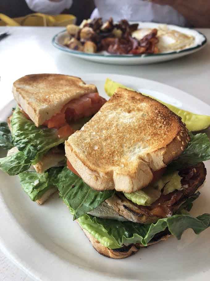 This turkey club is stacked taller than your average sandwich's aspirations, requiring both hands and possibly a strategic eating plan.