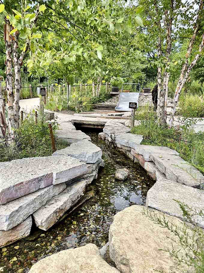 Nature meets engineering in this peaceful creek crossing where kids learn balance without realizing they're getting a physics lesson.