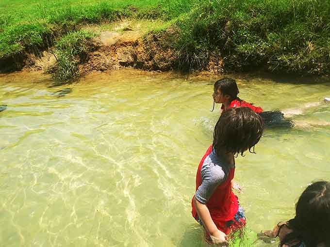 Kids discovering that swimming in clear spring water beats any chlorinated pool back home, hands down.