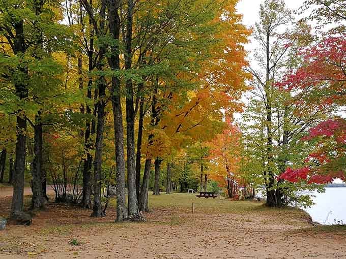 Fall colors explode around the peaceful picnic area, offering the perfect spot to extend your waterfall adventure.