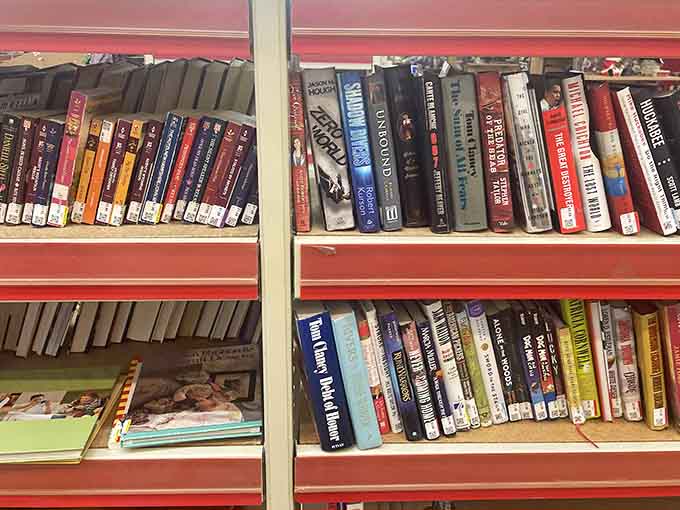 Rows of books waiting for their next adventure, each spine hiding a story someone else already loved.