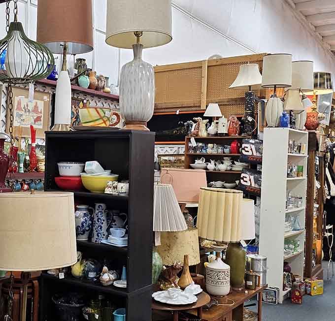 From mid-century modern to quirky vintage, this lamp collection could illuminate homes with style spanning seven decades.