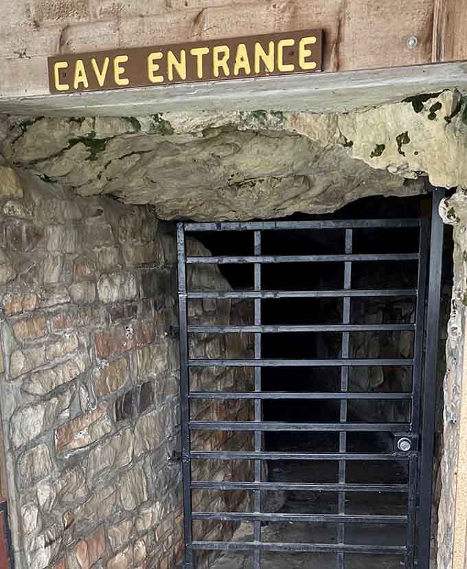 The entrance to another world, where million-year-old formations await just beyond this threshold.