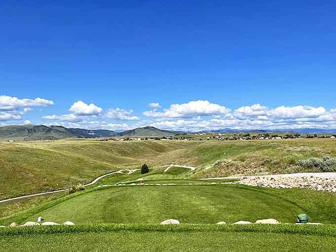 Buffalo Golf Club sits beneath mountain views that make three-putting almost forgivable, almost.