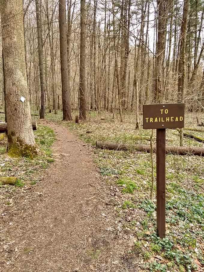 When the trail sign points toward adventure, you point your feet in that exact same direction.