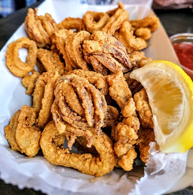 Fried calamari that shatters with each bite, proving that sometimes the simplest preparations yield the most profound pleasures.