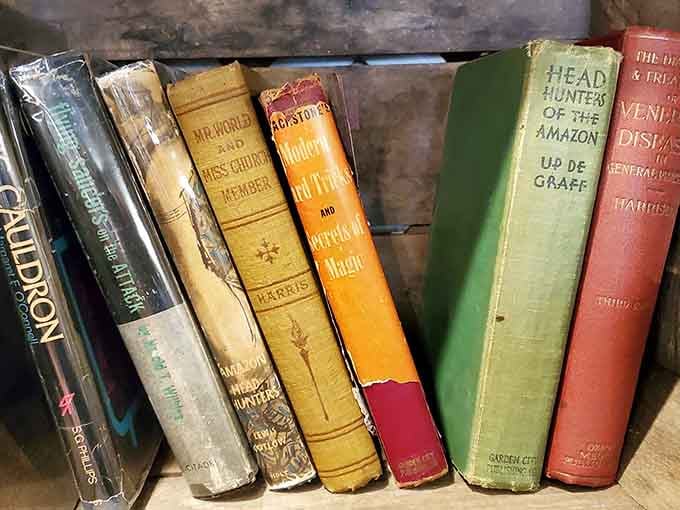 Vintage books with spines that creak and pages that smell like history, adventure, and someone's dusty attic.