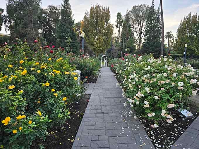 Evening light transforms the garden into something even more magical than it already was.