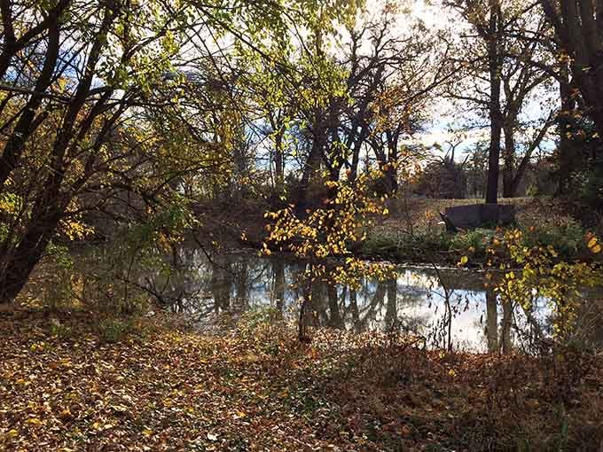 Chautauqua Park's autumn transformation turns everyday Nebraska into a painting worthy of hanging in your living room—nature showing off without even trying.