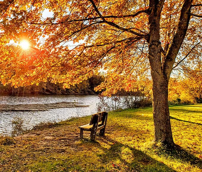 8. codorus state park autumn season