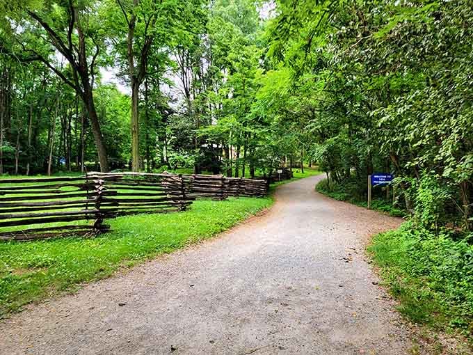 These peaceful trails wind through woods where the only notifications you'll get are from birds and rustling leaves overhead.