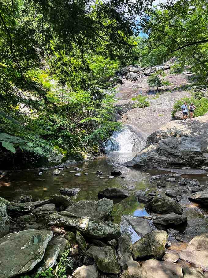 Small cascades create peaceful pools, proving that sometimes the journey matters more than the destination itself.