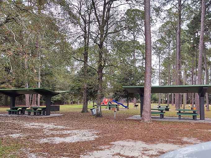 Shaded picnic pavilions and playground equipment prove that simple pleasures still beat fancy entertainment any day of the week.