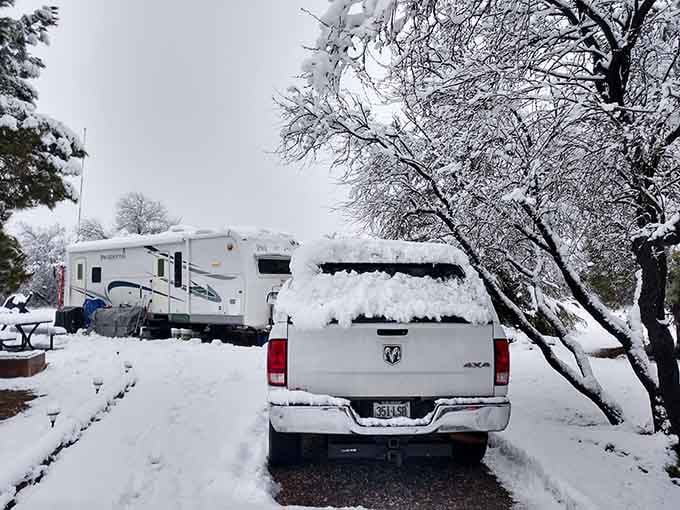 Winter camping here means actual seasons&mdash;snow, peace, and the smug satisfaction of escaping Phoenix's crowds.