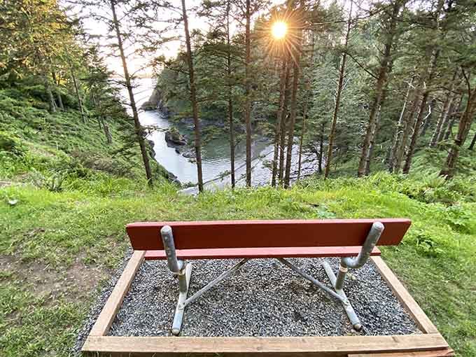 A perfectly placed bench overlooking the cove where you can rest those hiking legs and contemplate life's bigger questions.