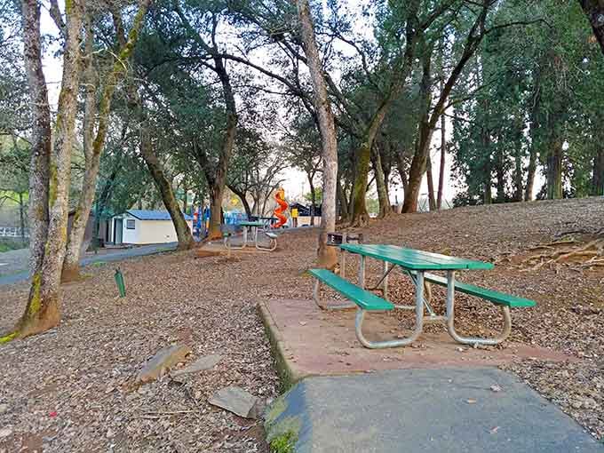 Picnic tables under oak trees offer a moment of tranquility. In Gold Rush days, moments of peace like this were as precious as the nuggets miners sought.