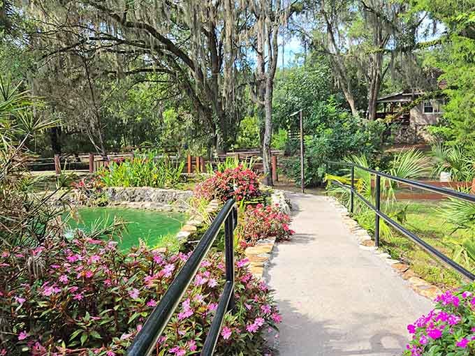 A flower-lined path leading to an ancient underground spring, because Florida knows how to make an entrance worth remembering.