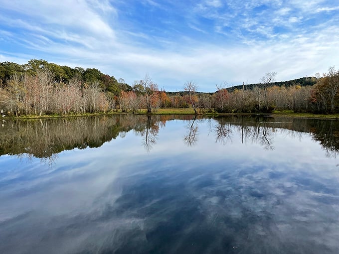The serene lake view offers a moment of calm before you return to the delightful strangeness ahead.